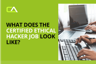 What Does The Certified Ethical Hacker Job Look Like? - CyberAgilityAcademy